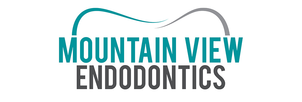 Meet Dr. Saehee Kim - Mountain View Endodontics